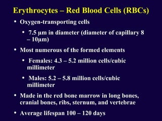 Blood formation and composition | PPT
