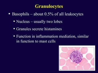Blood formation and composition | PPT