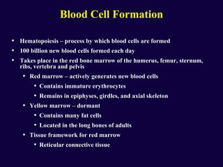 Blood formation and composition | PPT