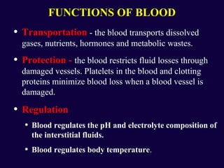 Blood formation and composition | PPT