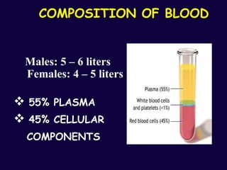 Blood formation and composition | PPT