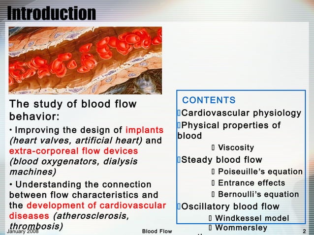 Blood flow | PPT