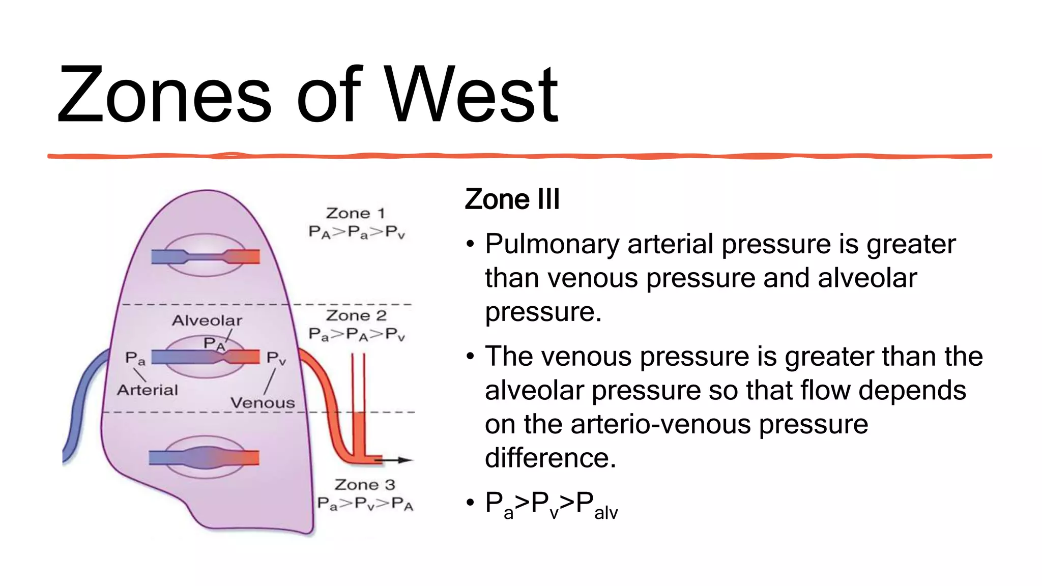 Blood Flow and Metabolism.pptx