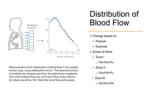 Blood Flow and Metabolism.pptx