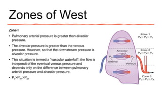 Blood Flow and Metabolism.pptx