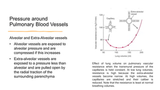 Blood Flow and Metabolism.pptx