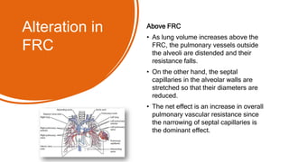 Blood Flow and Metabolism.pptx