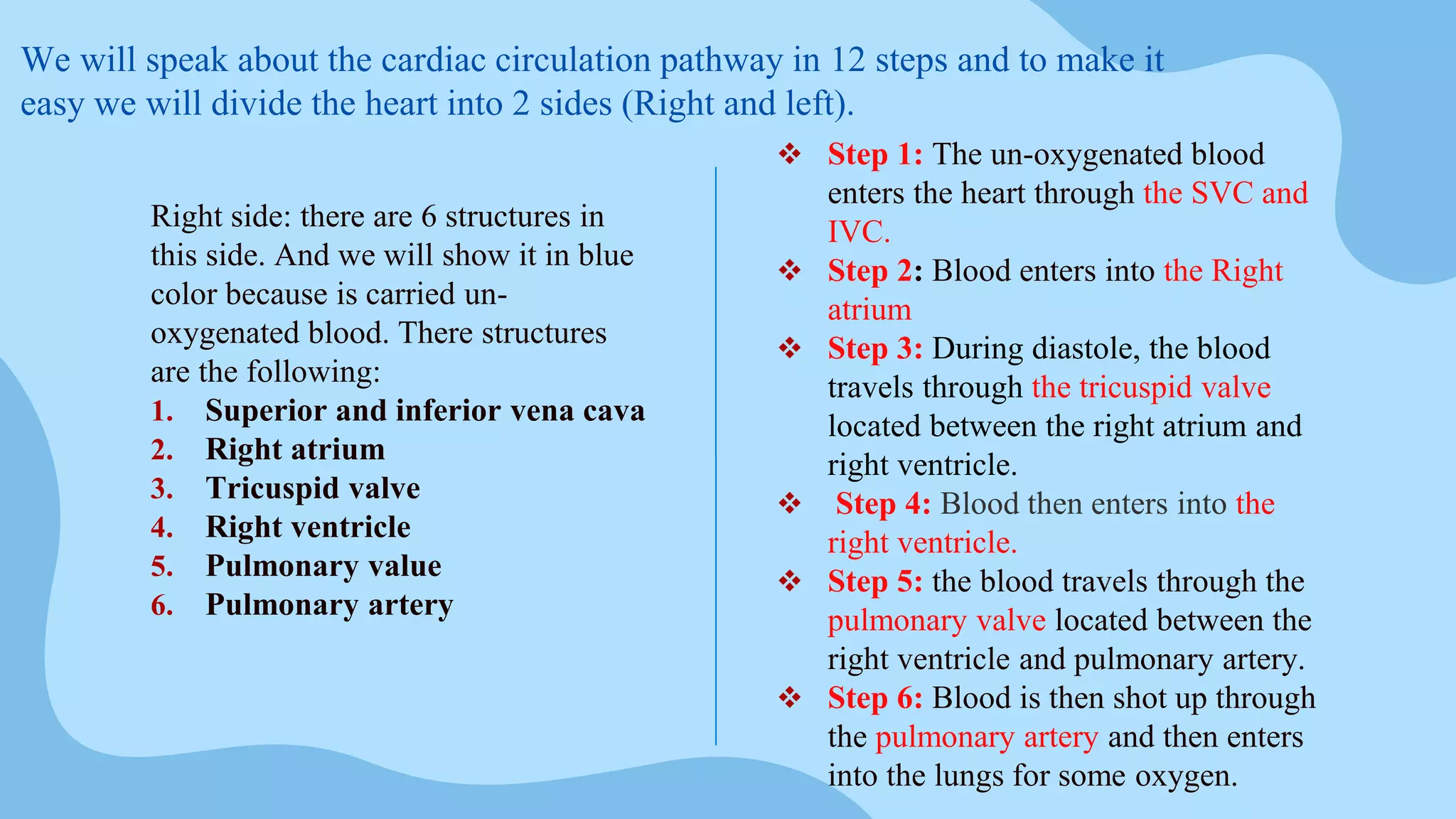 Blood Flow of the heart | PDF