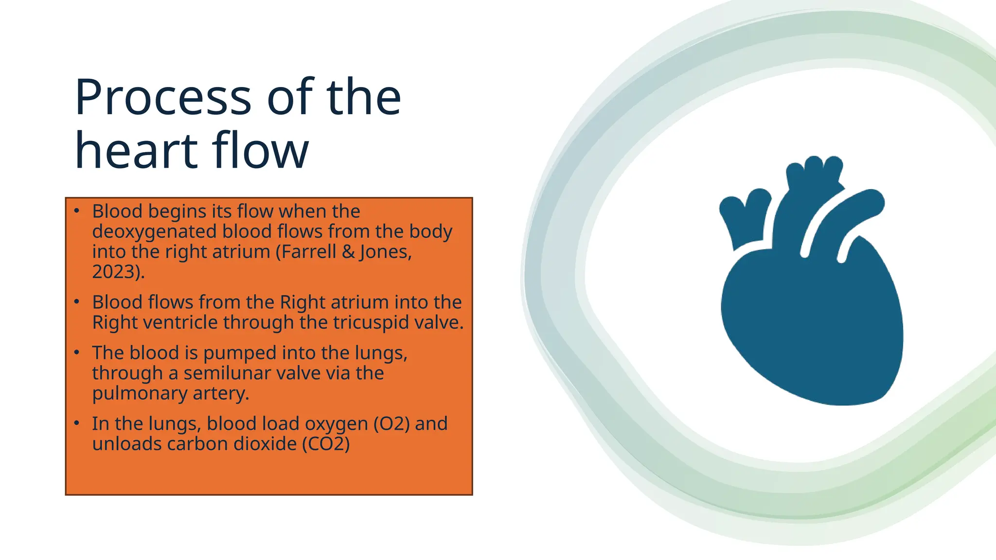 Blood flow through the heart presentation | PPTX