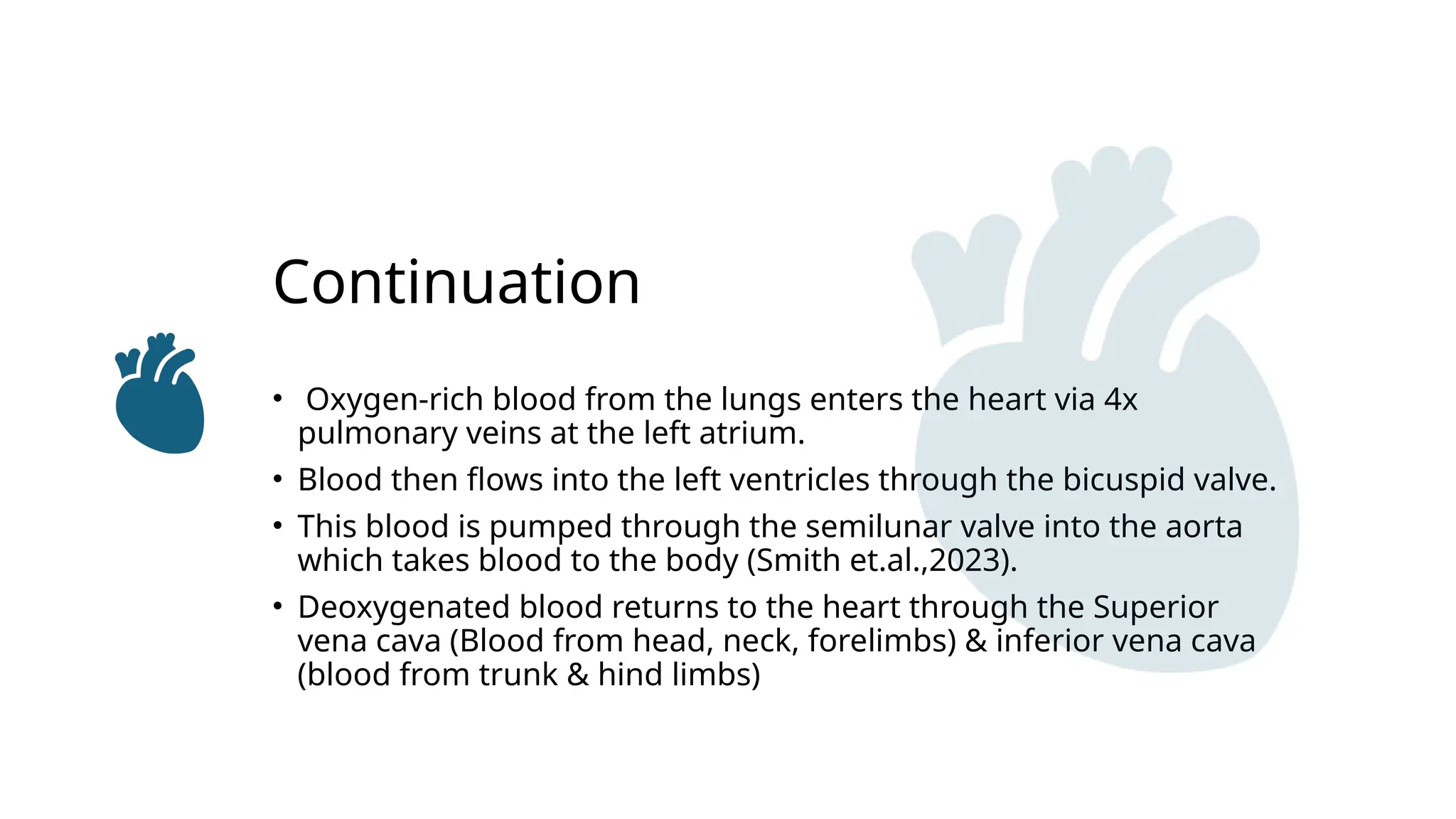 Blood flow through the heart presentation | PPTX