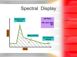 Blood flow types | PPTX
