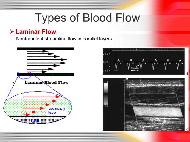 Blood flow types | PPTX