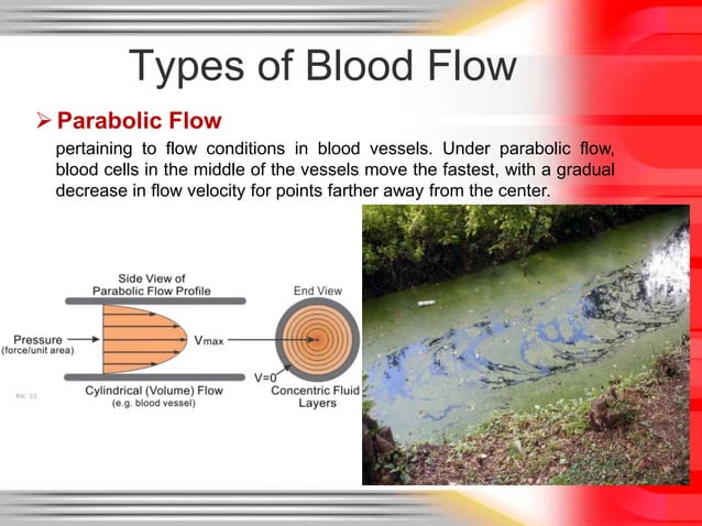 Blood flow types | PPTX