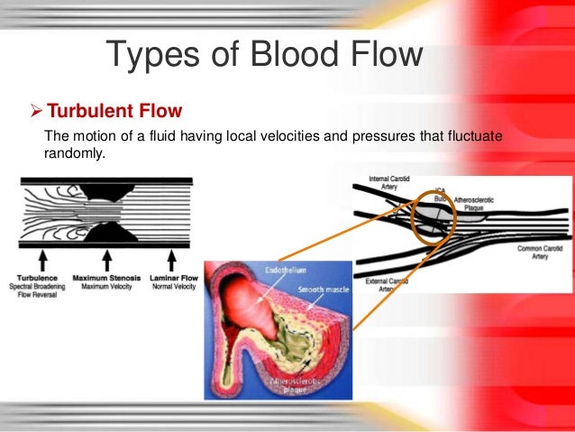 Blood flow types