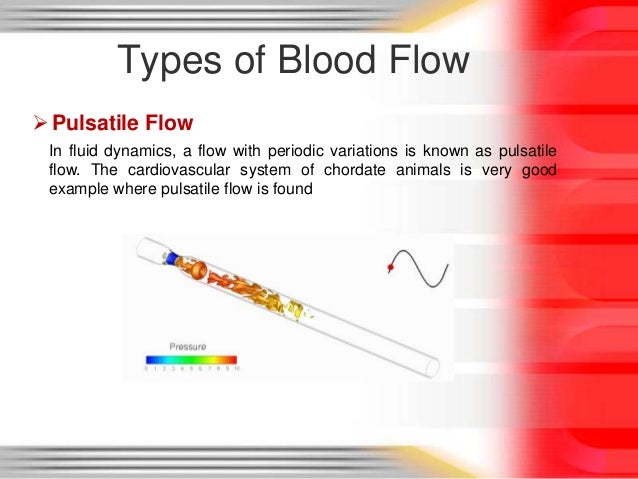 Blood flow types