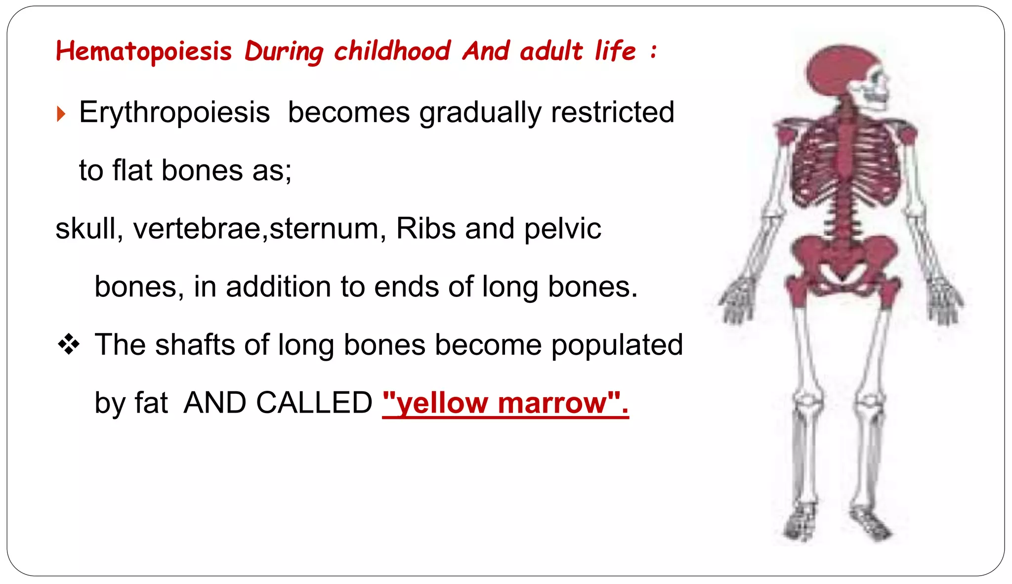 Blood forming organs and Hematopoiesis.ppt