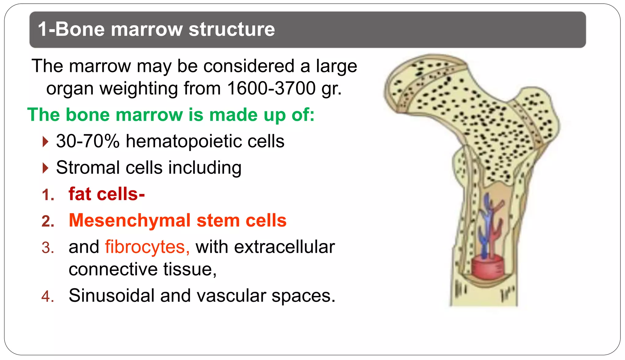 Blood forming organs and Hematopoiesis.ppt