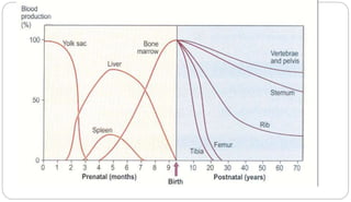 Blood forming organs and Hematopoiesis.ppt