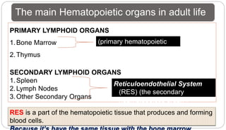 Blood forming organs and Hematopoiesis.ppt