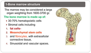 Blood forming organs and Hematopoiesis.ppt