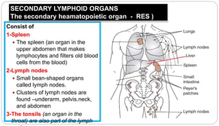 Blood forming organs and Hematopoiesis.ppt