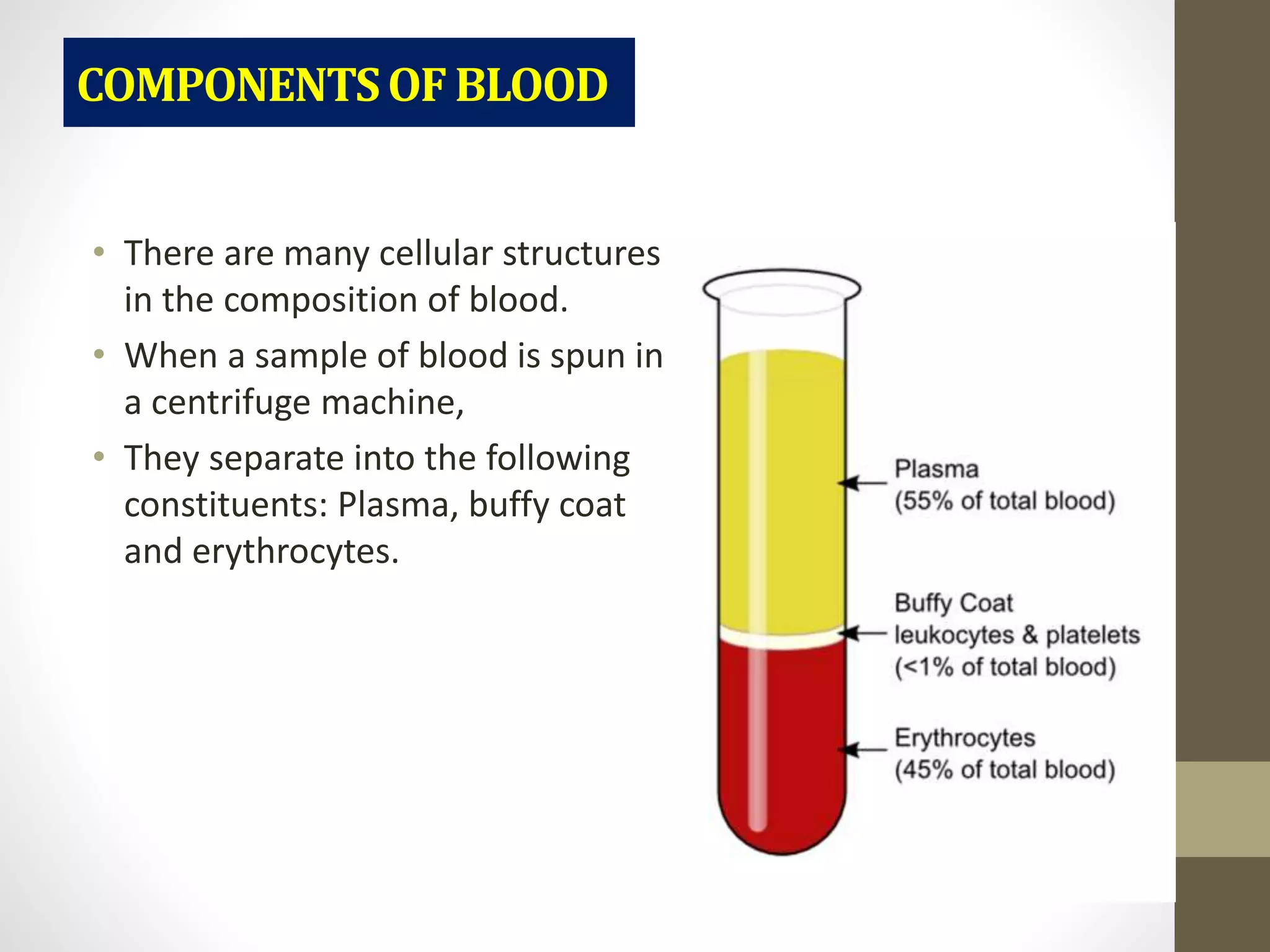 BLOOD COMPOSITION & FUNCTIONS | PPTX