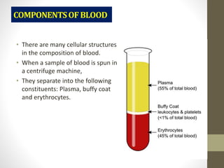 B;LOOD COMPOSITION AND FUNCTIOS AND DIFFERENT FORMED ELEMENTS | PPT