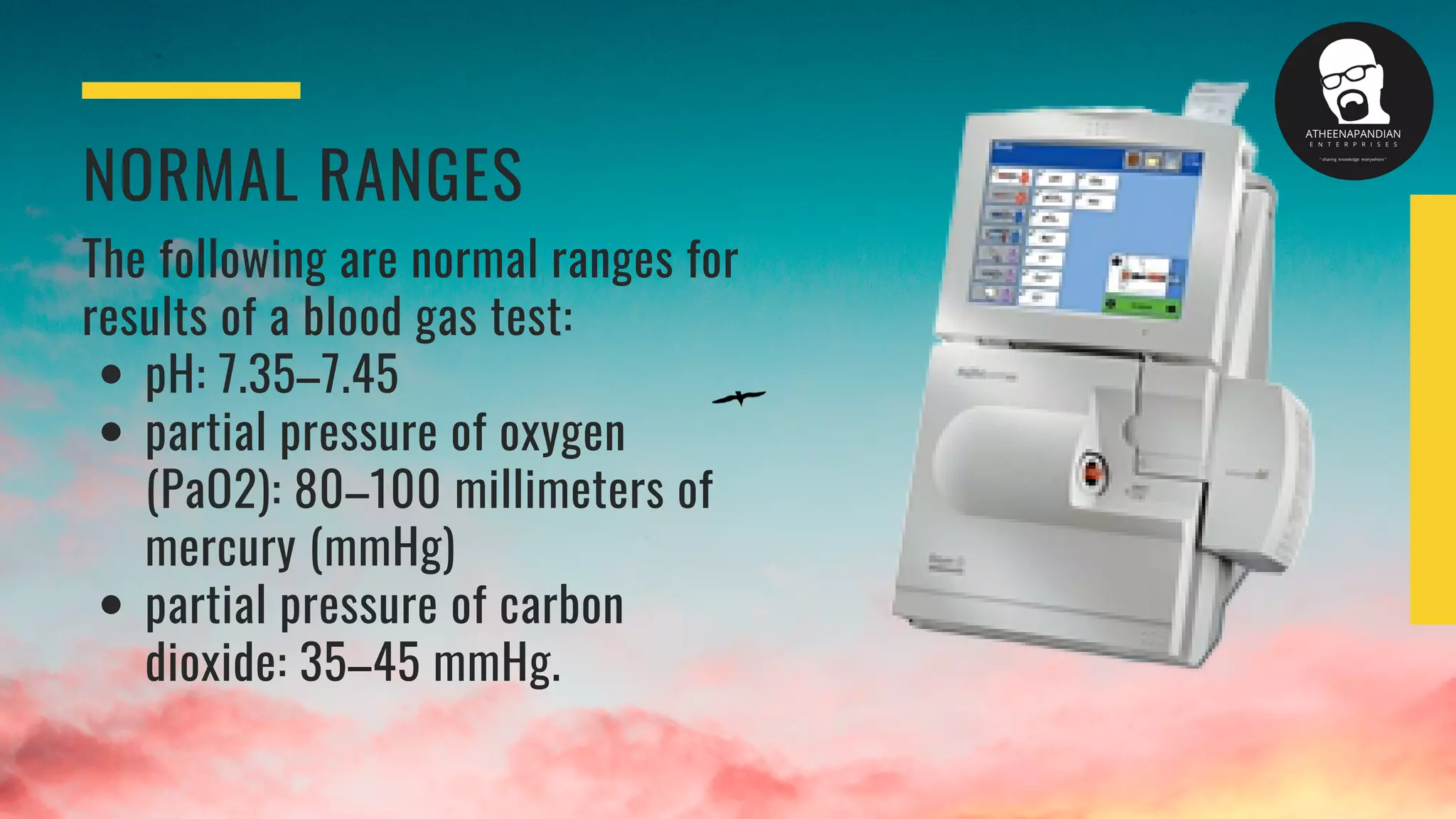 Blood gas analyser Basics of the equipment | PDF