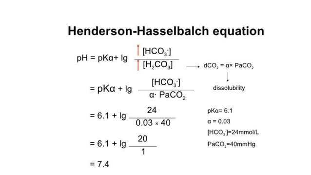 Blood gas analyser & blood gas analysis with clinical significancee ...