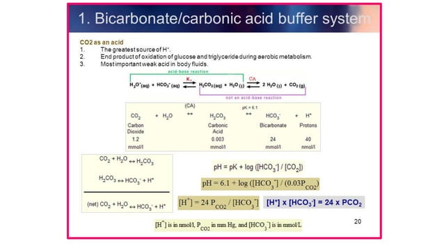 Blood gas analyser & blood gas analysis with clinical significancee ...