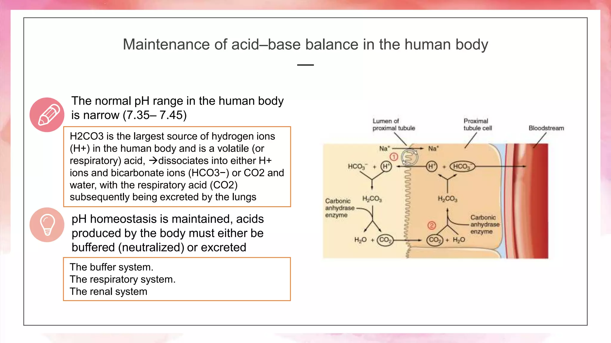 Blood gas analysis.pptx | Lung and Respiratory Health | Diseases and ...