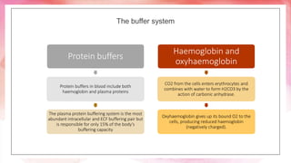 Blood gas analysis.pptx | Lung and Respiratory Health | Diseases and ...