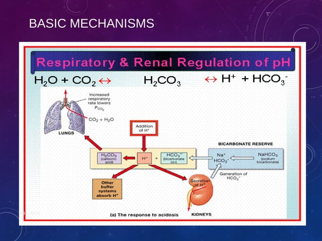 Blood gas analysis case scenarios | PPT