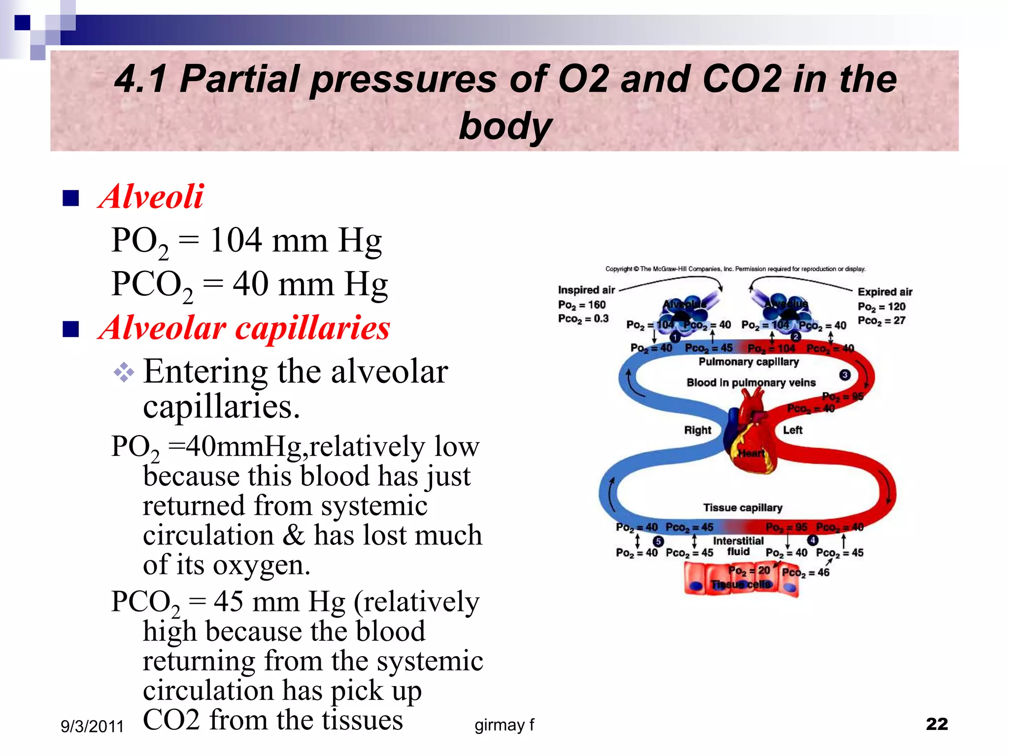 Blood gas exchange 2 | PPTX