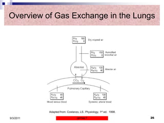 Blood gas exchange 2 | PPTX