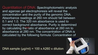 Blood genomic DNA extraction - Jackson Chary | PPT
