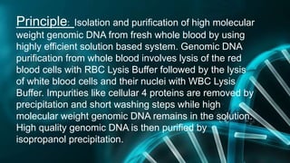 Blood genomic DNA extraction - Jackson Chary | PPT