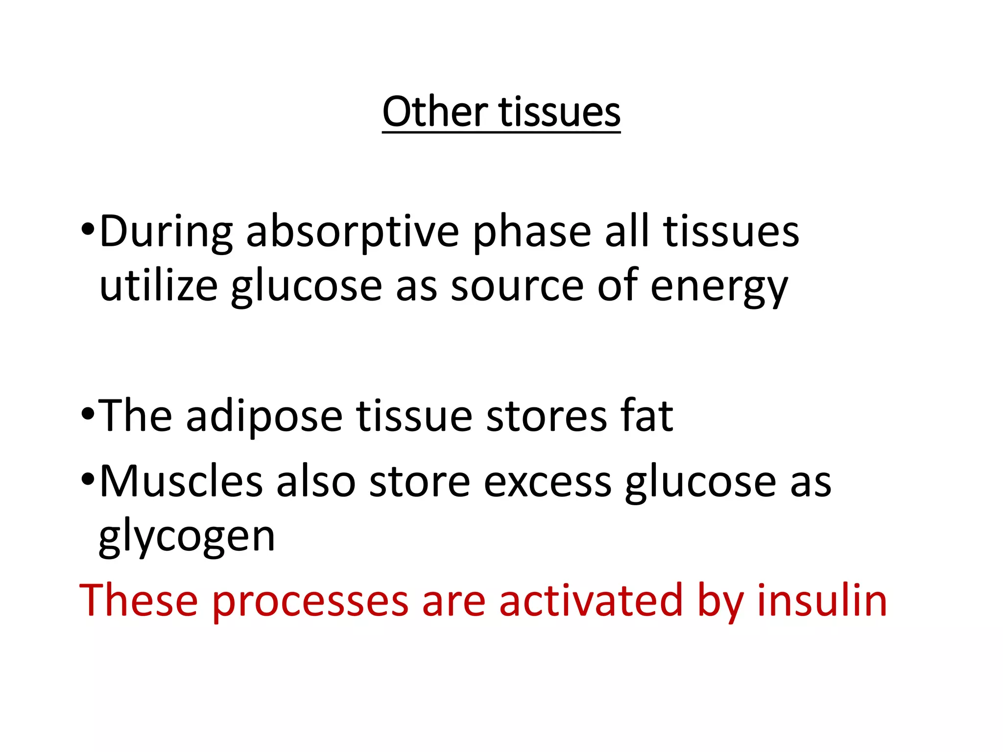 Blood Glucose Regulation.ppt