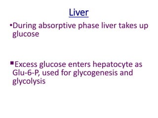 Blood Glucose Regulation.ppt