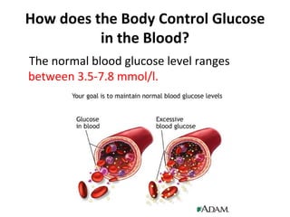Blood Glucose | PPT