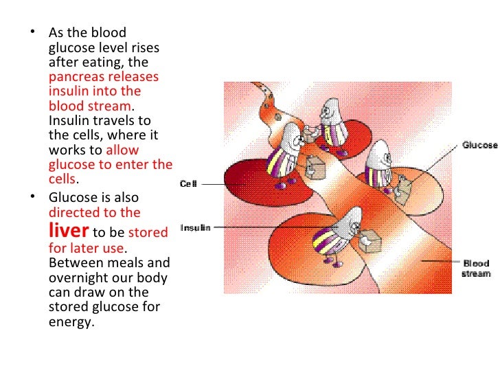Blood Glucose