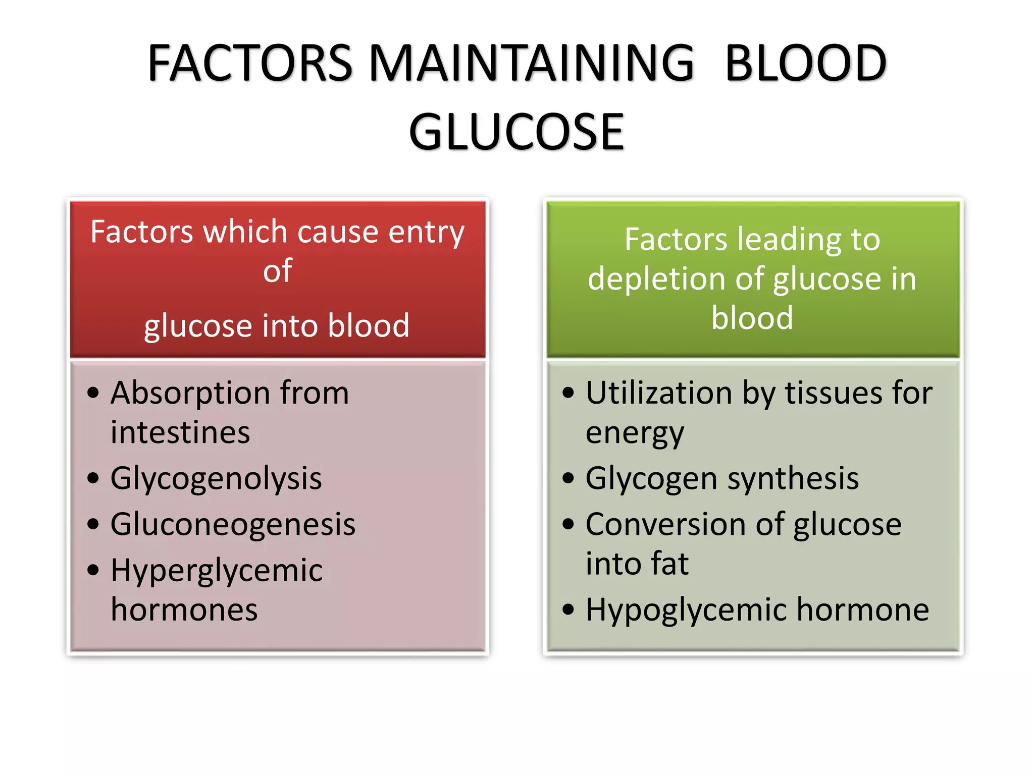 Blood glucose homeostasis | PPTX