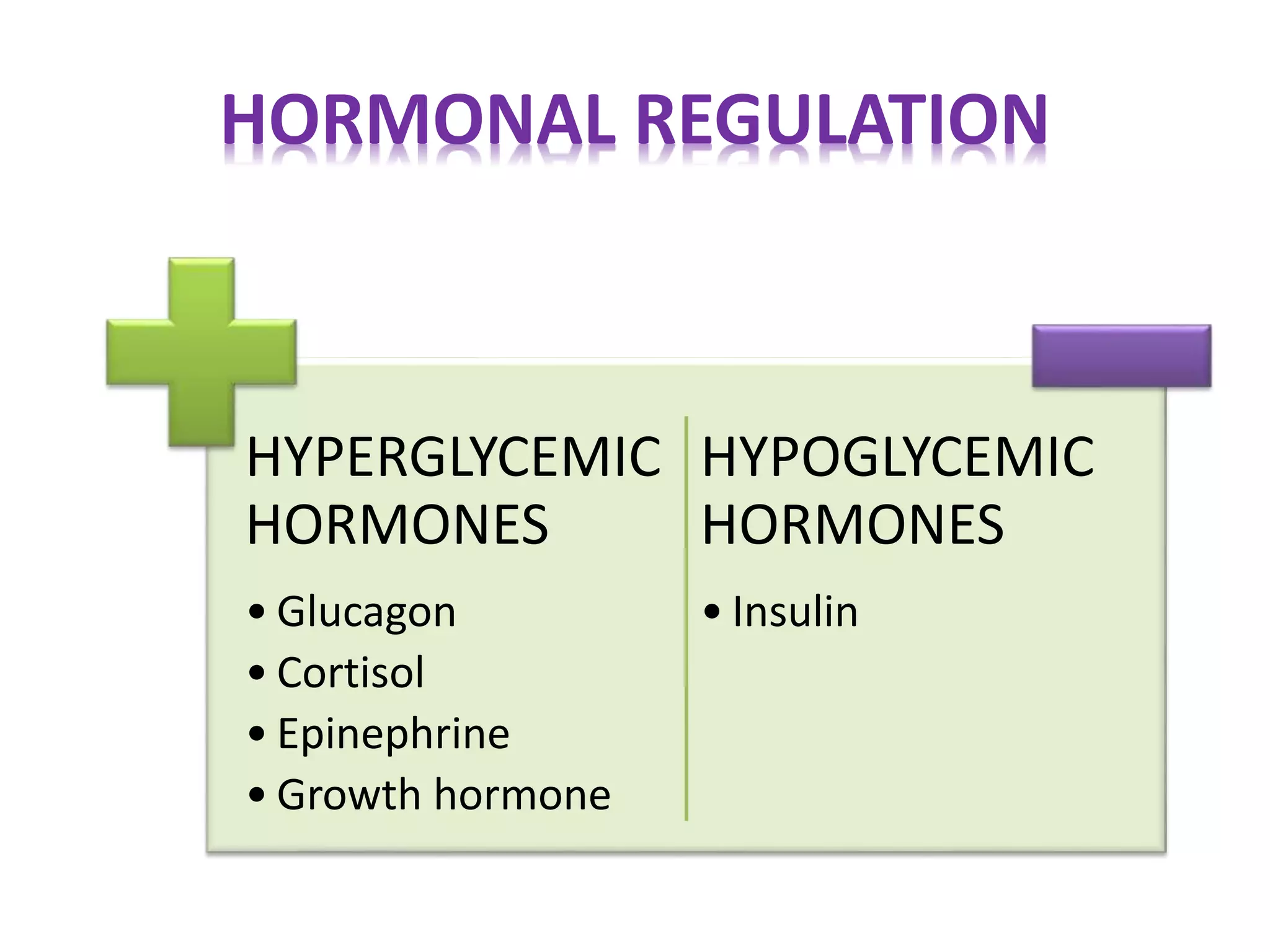 Blood glucose homeostasis | PPTX