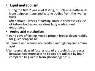 Blood glucose homeostasis | PPTX