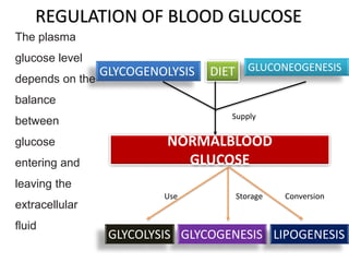 Blood glucose homeostasis | PPTX
