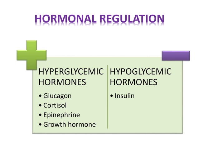 Blood glucose homeostasis | PPTX | Endocrine and Metabolic Diseases ...