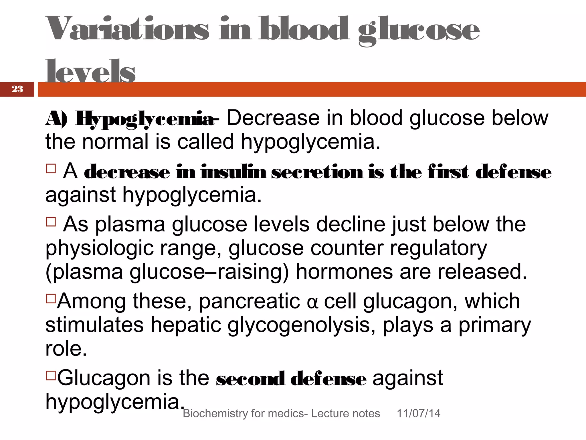 Blood glucose homeostasis revised | PPT