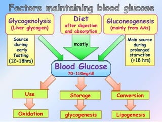 Blood glucose level | PPTX