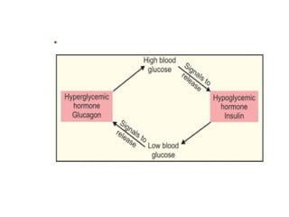 Blood glucose level and its regulation.pptx