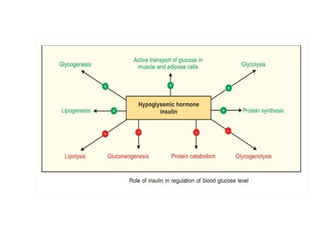 Blood glucose level and its regulation.pptx